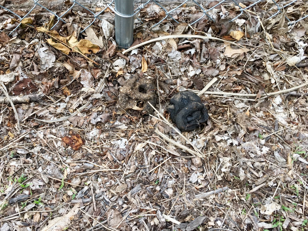 Playgrounds and Poop | PLUNGE47